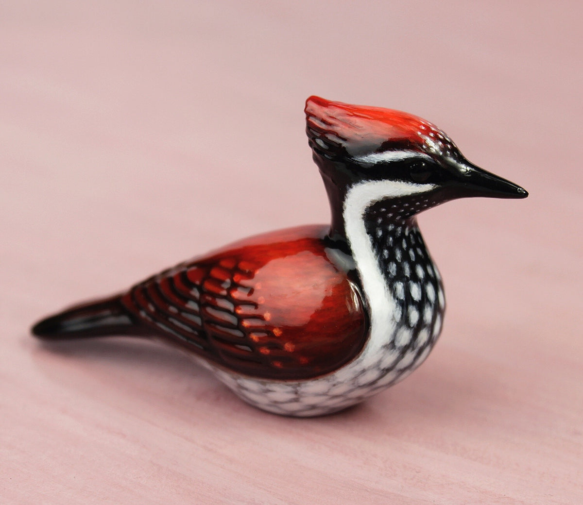 Crimson backed flameback – byrdis